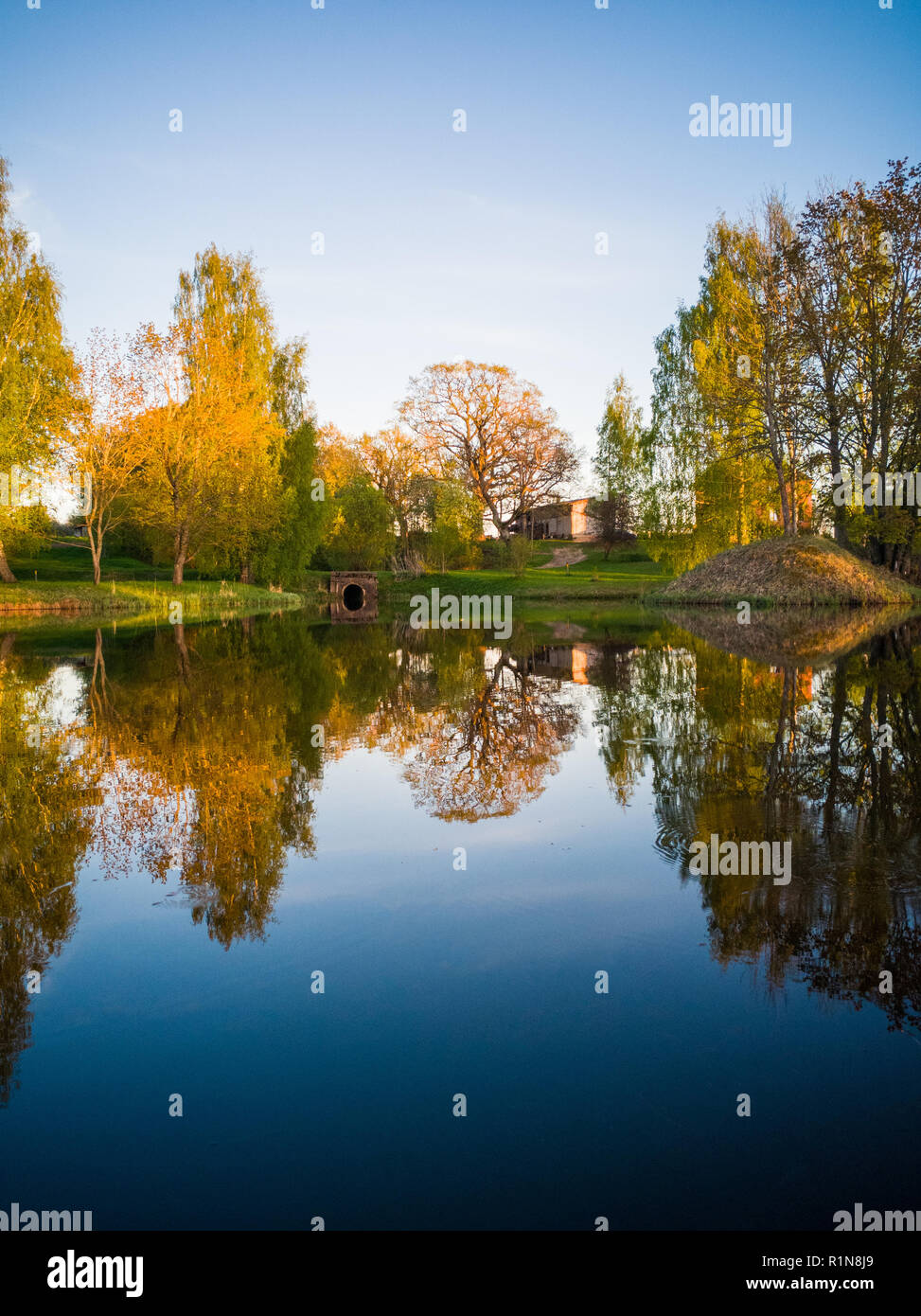 Beautiful Tree Reflection in the Lake on a Sunny Spring Day - Autumn ...
