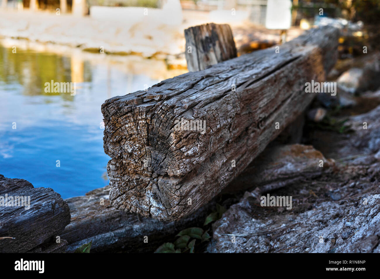 Old logs on beach hi-res stock photography and images - Alamy