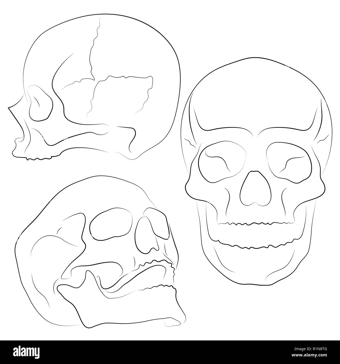 Horror body lab Stock Vector Images - Alamy