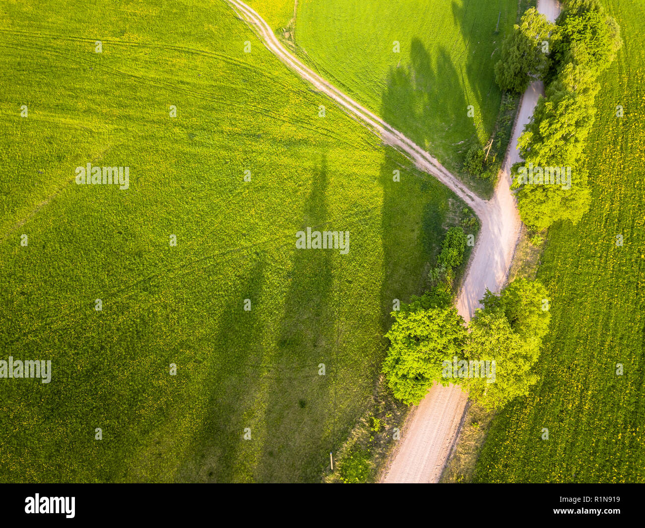 Drone Photo of the Crossroad Between Trees in Colorful Early Spring in ...