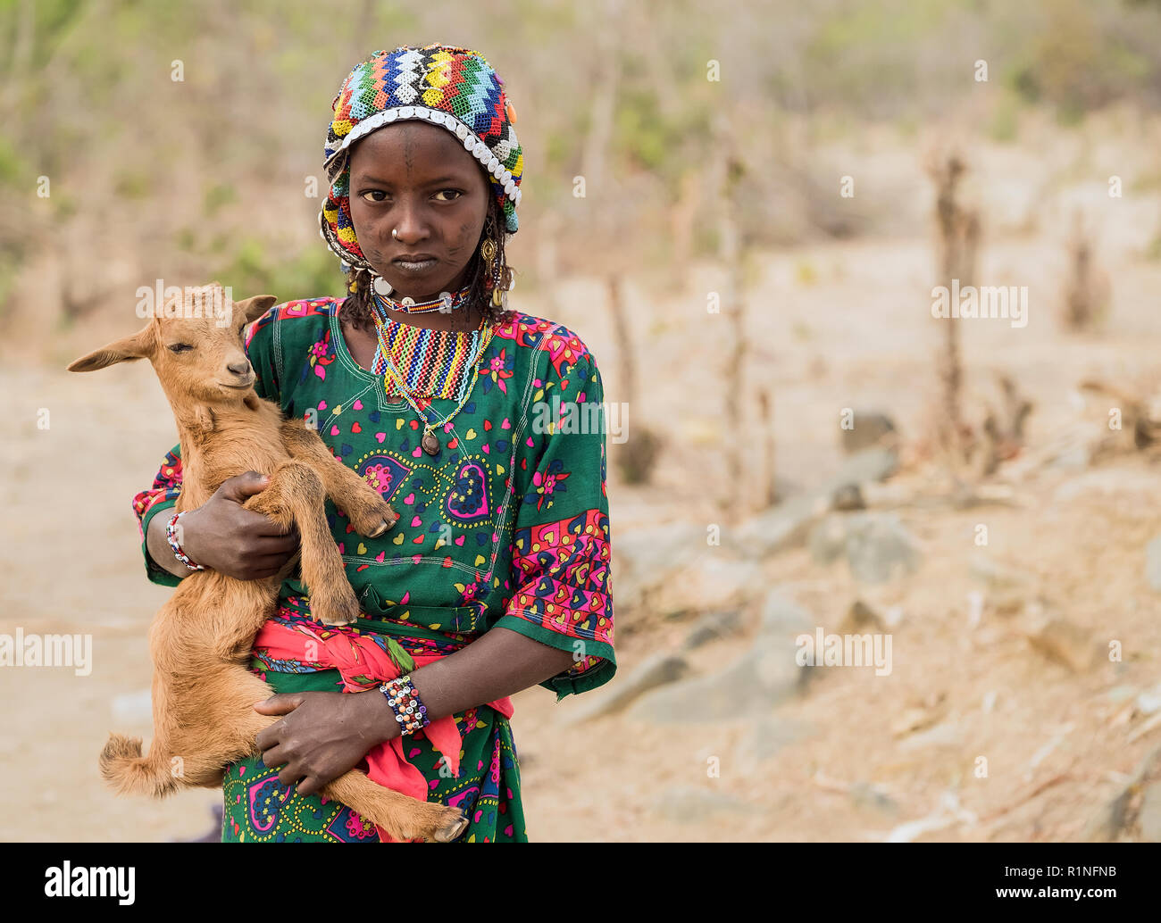 Girl with a goat, Mbororo tribe. North Cameroon Stock Photo - Alamy