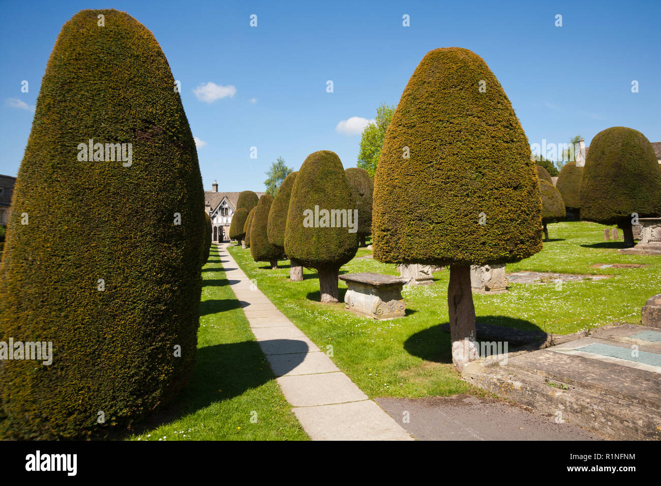 Painswick cotswolds churchyard yew tree hi-res stock photography and ...