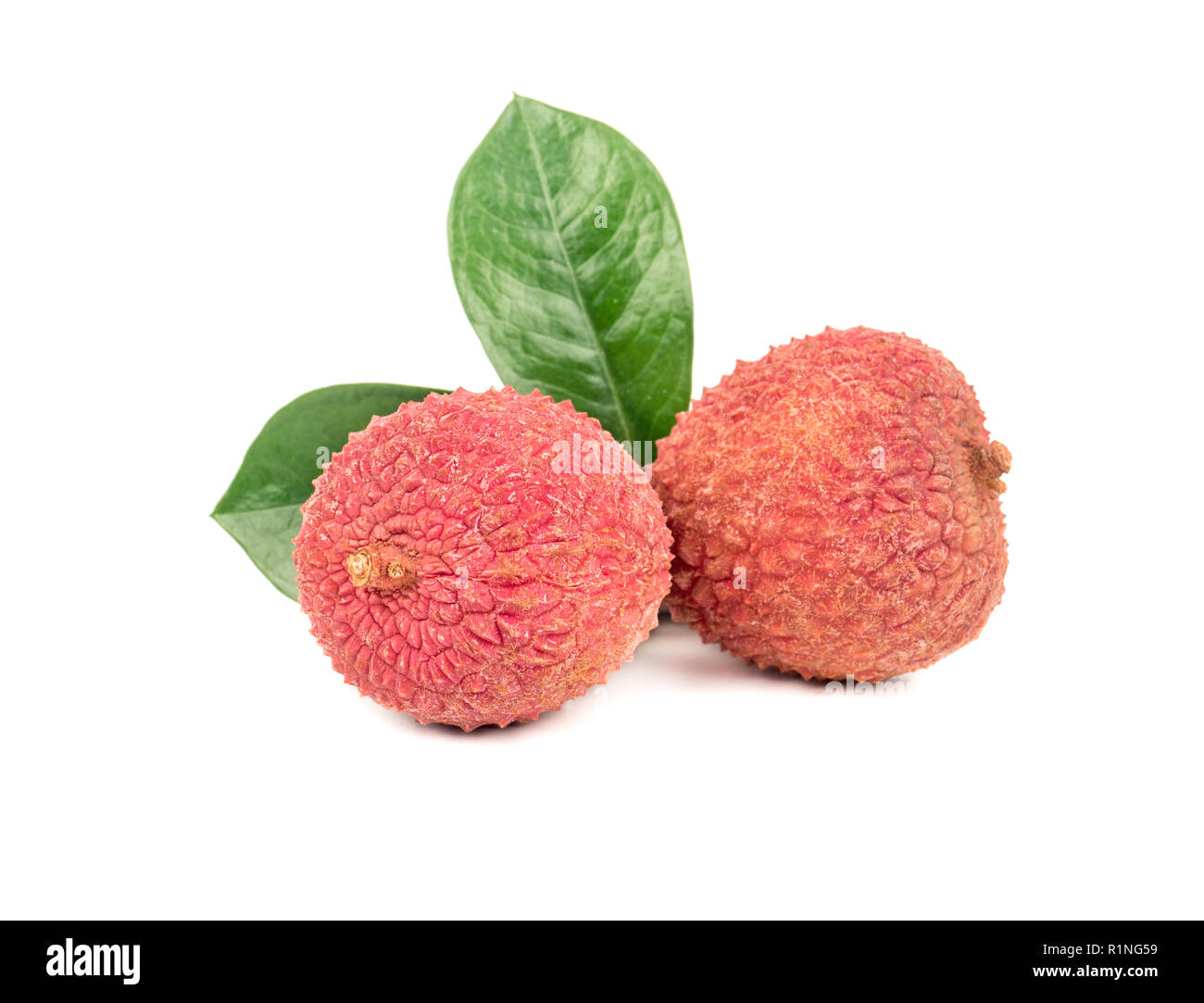 Two fresh chinese lychee fruit with leaves on white background Stock ...