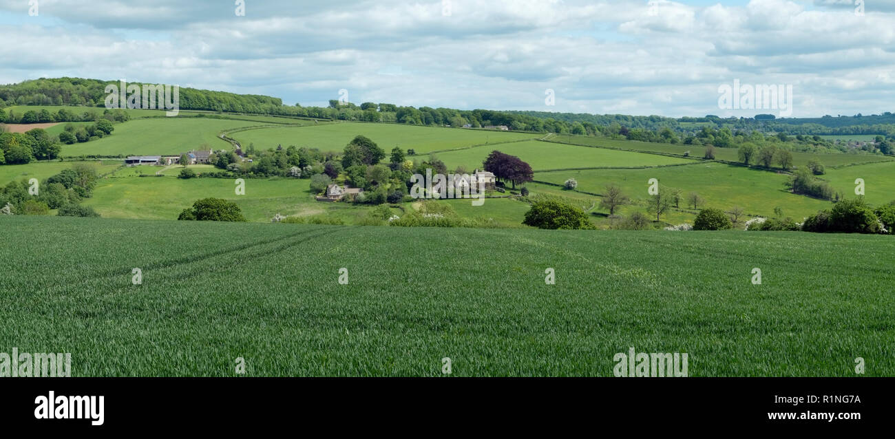 Rural Gloucestershire Cotswolds spring landscape near Painswick Beacon ...