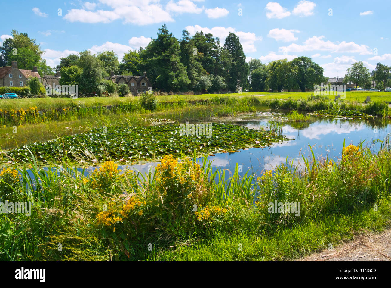 Summer sunshine on the picturesque village green and ponds at Frampton ...