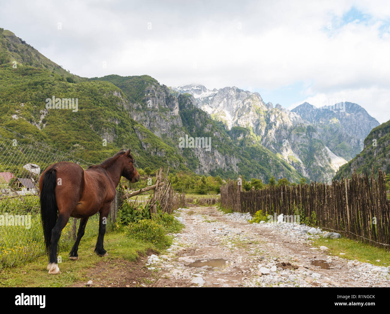 The Accursed Mountains, Theth, Albania Stock Photo - Alamy
