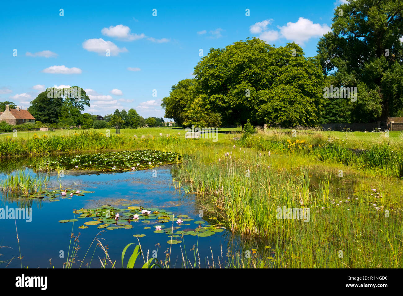 Summer sunshine on the picturesque village green and ponds at Frampton ...