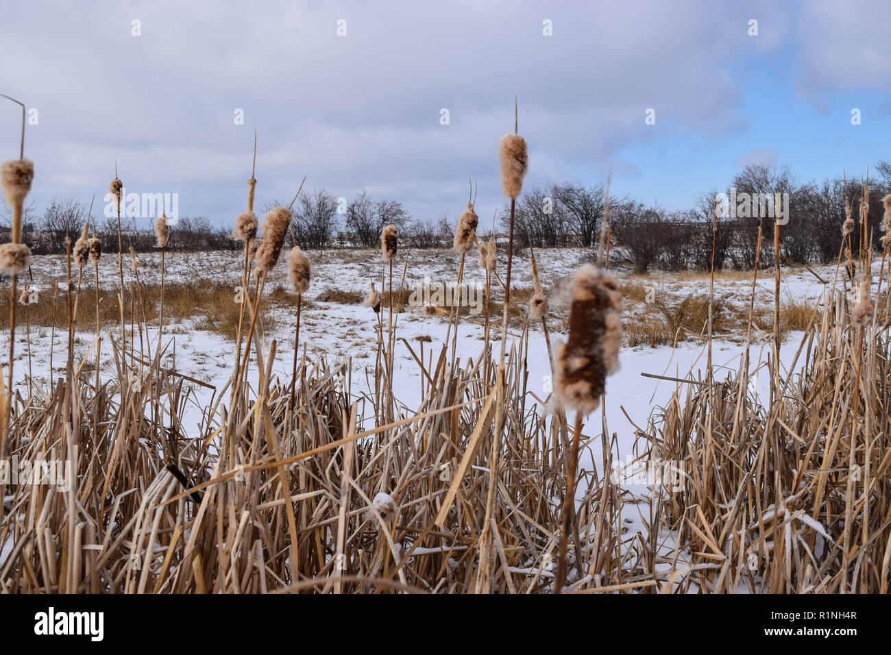 first snowfall of the season Stock Photo - Alamy