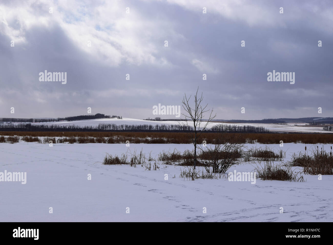 first snowfall of the season Stock Photo - Alamy