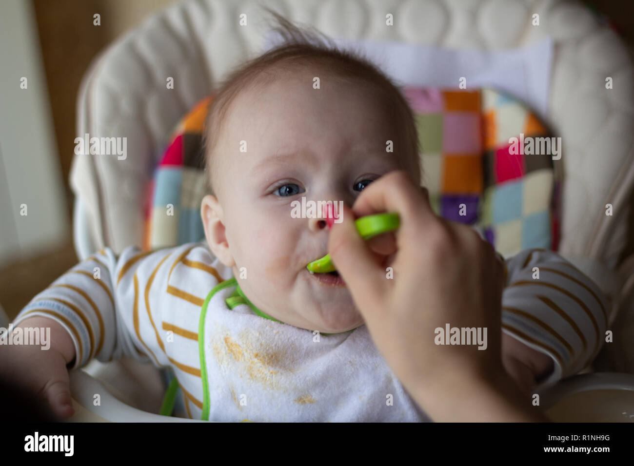 Homogenized hi-res stock photography and images - Alamy