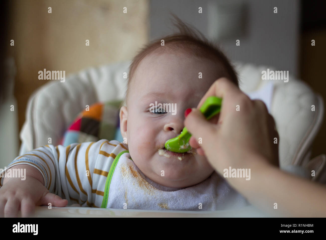 The first feeding of the baby from the spoon. Mom feeds baby ...