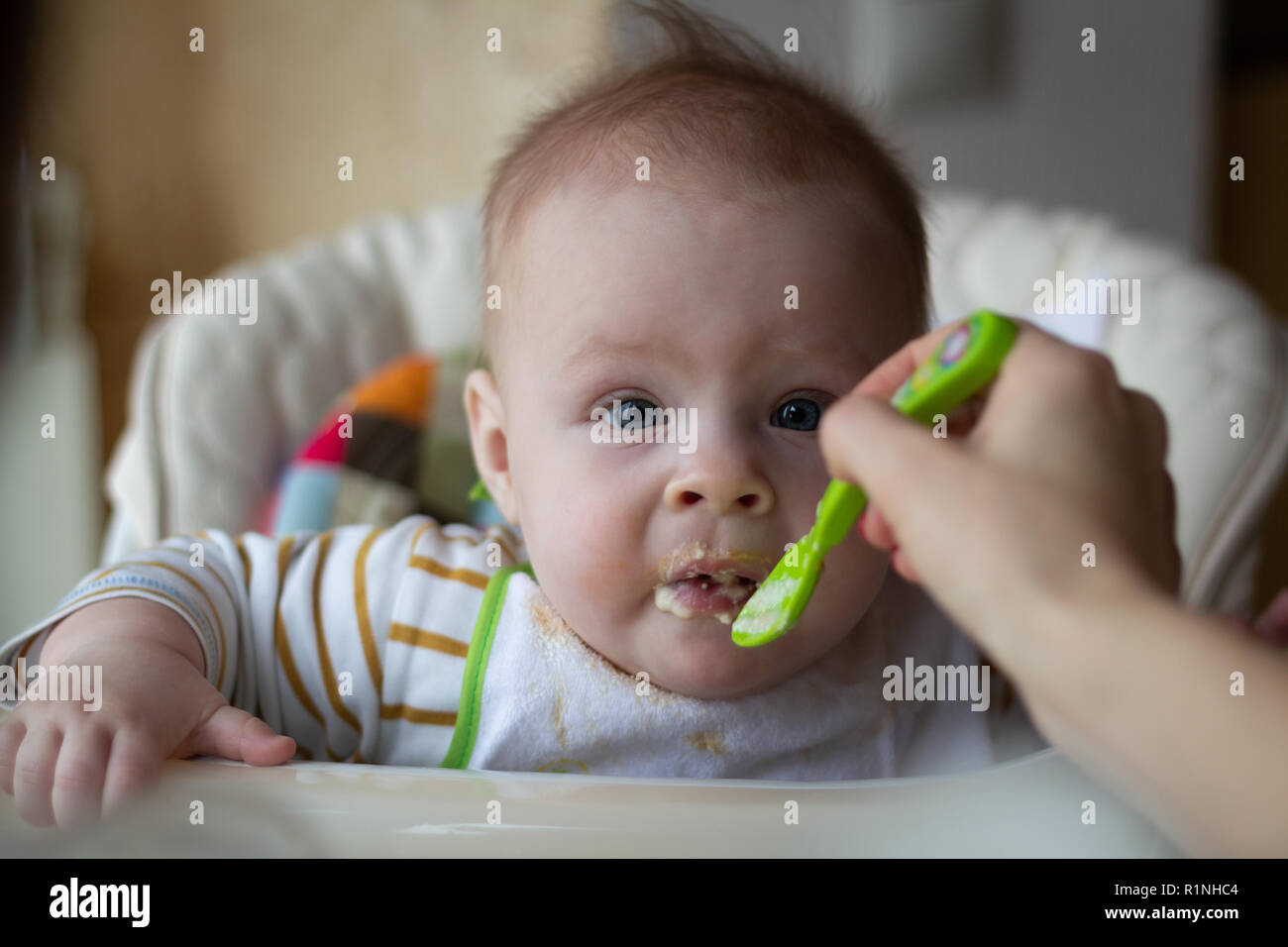 The first feeding of the baby from the spoon. Mom feeds baby ...
