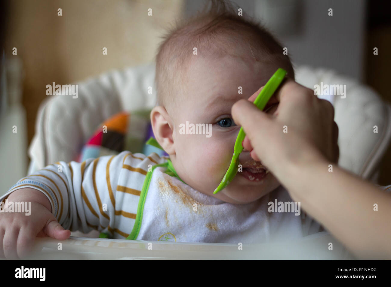 The first feeding of the baby from the spoon. Mom feeds baby ...
