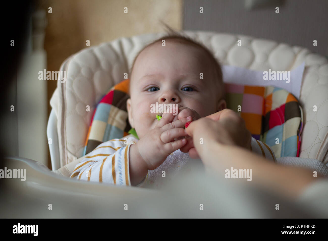 The first feeding of the baby from the spoon. Mom feeds baby ...