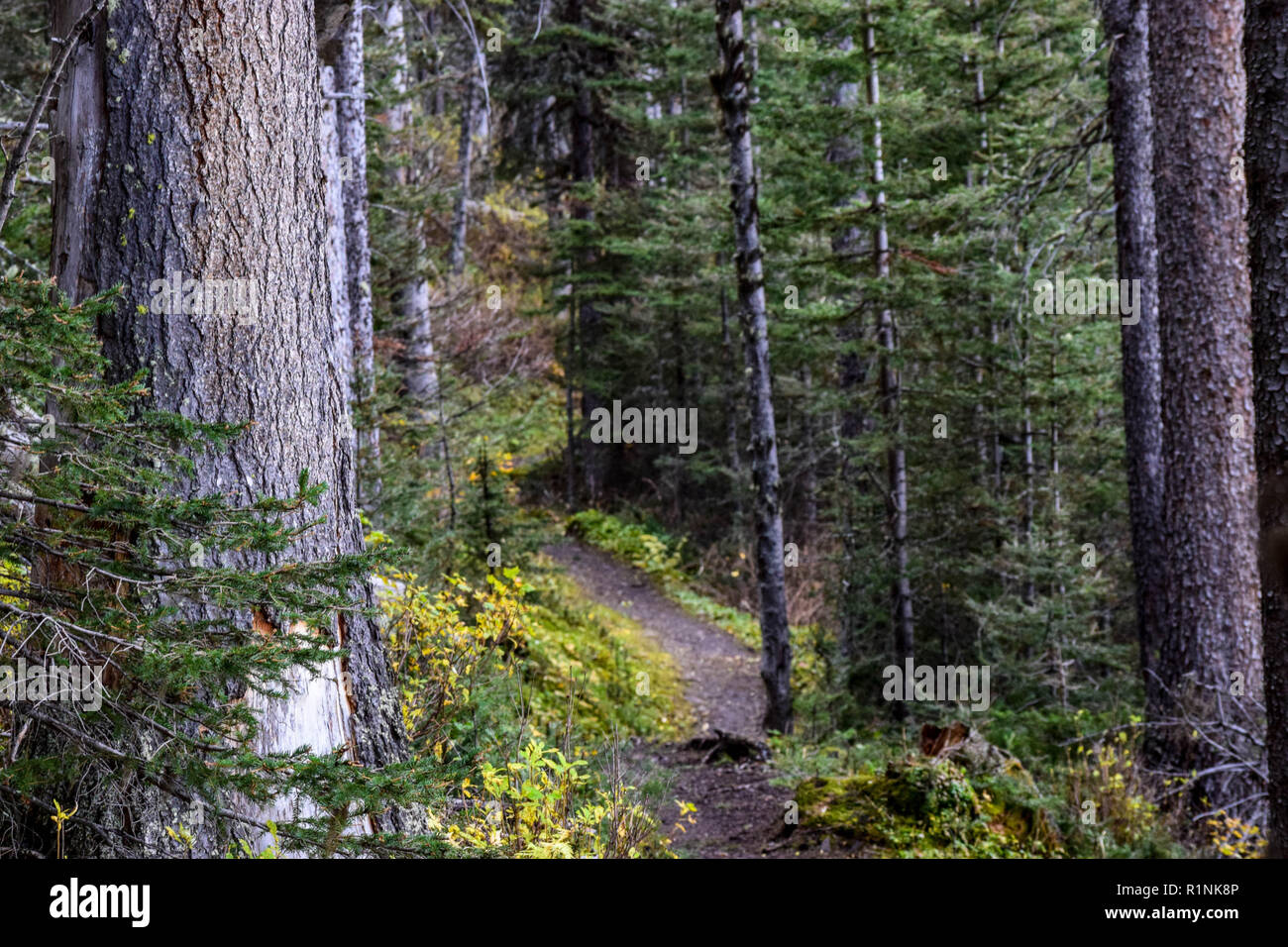 Alberta mountain scenes in the summer and fall Stock Photo - Alamy