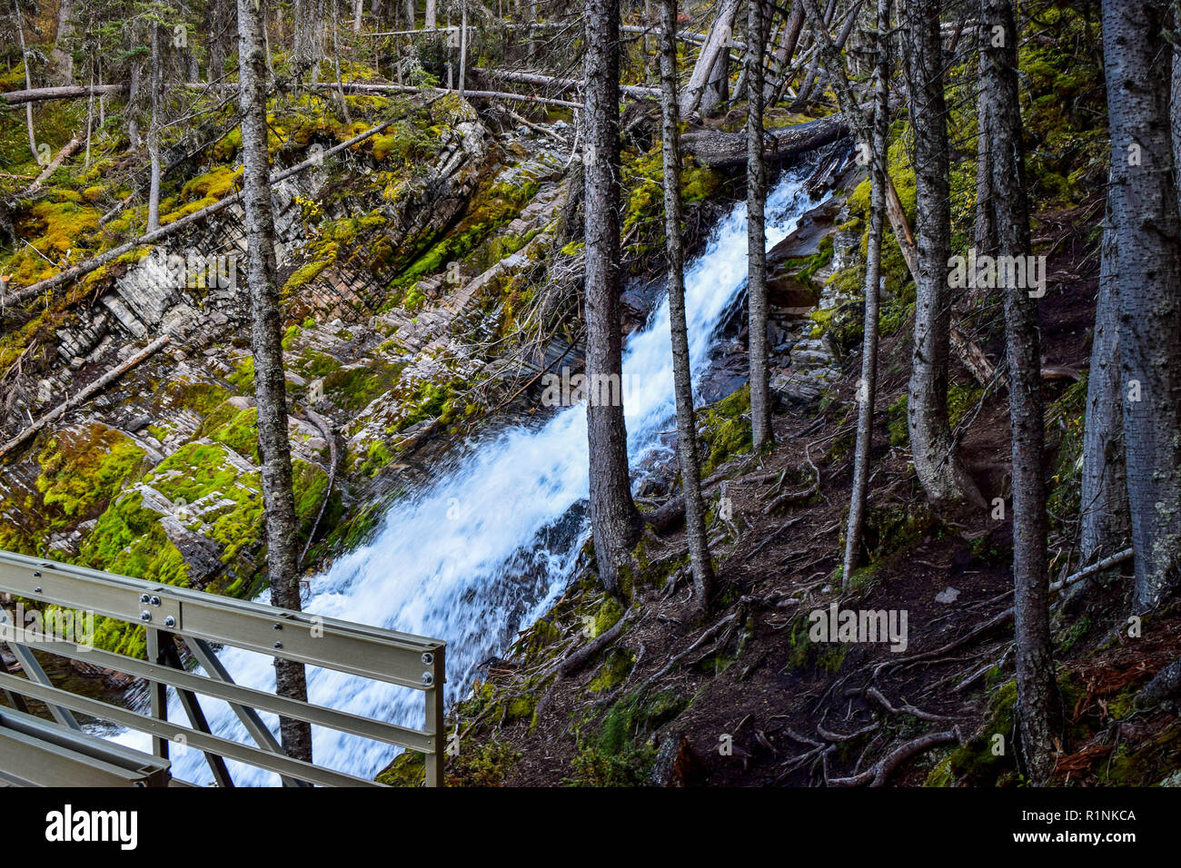 Alberta mountain scenes in the summer and fall Stock Photo - Alamy