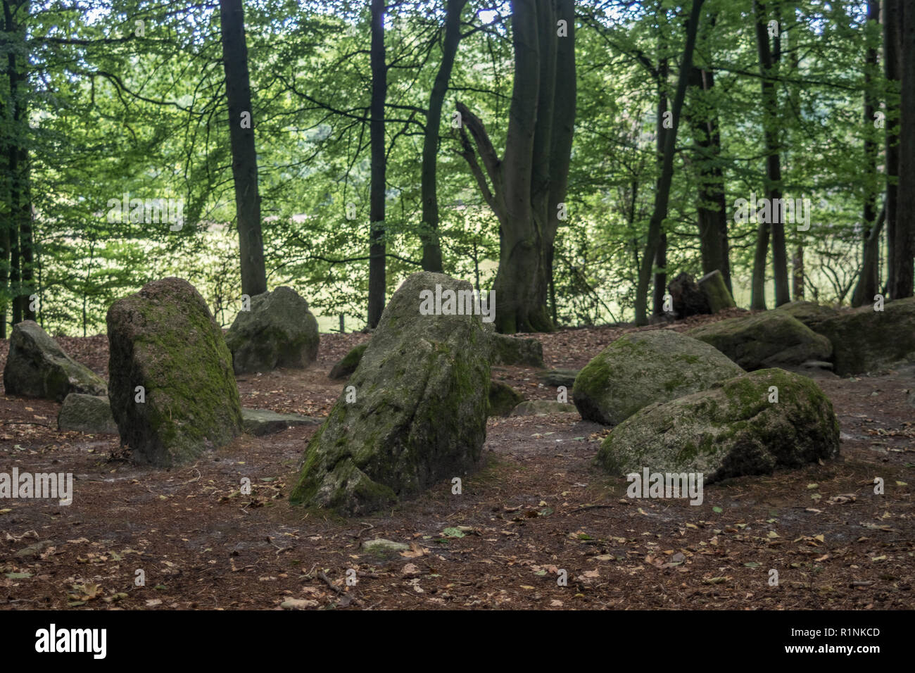 Dolmen prehistoric neolithic graves Raven 2 Stock Photo - Alamy