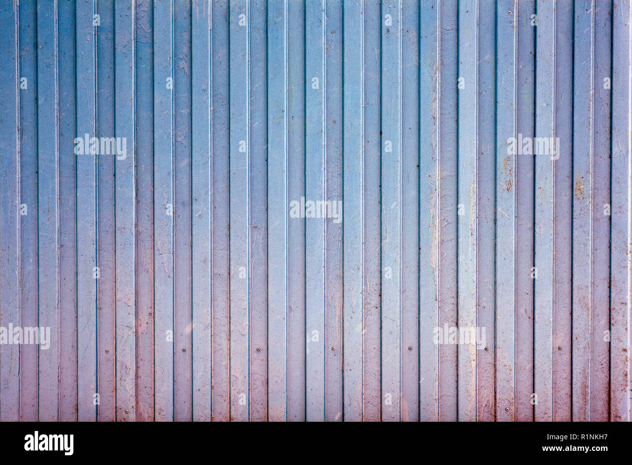 Insulated metal fence of blue color from corrugated sheet Stock Photo ...