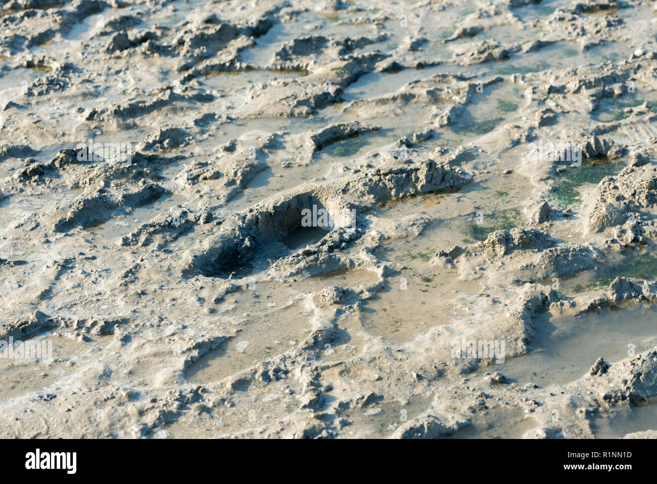 Medical footprints hi-res stock photography and images - Alamy