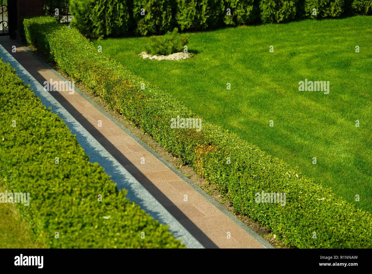 bushes in landscape design Stock Photo - Alamy