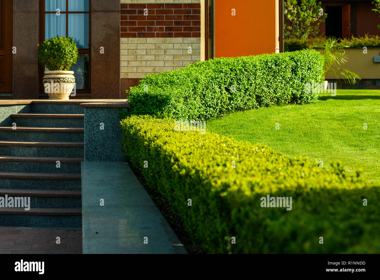 bushes in landscape design Stock Photo - Alamy