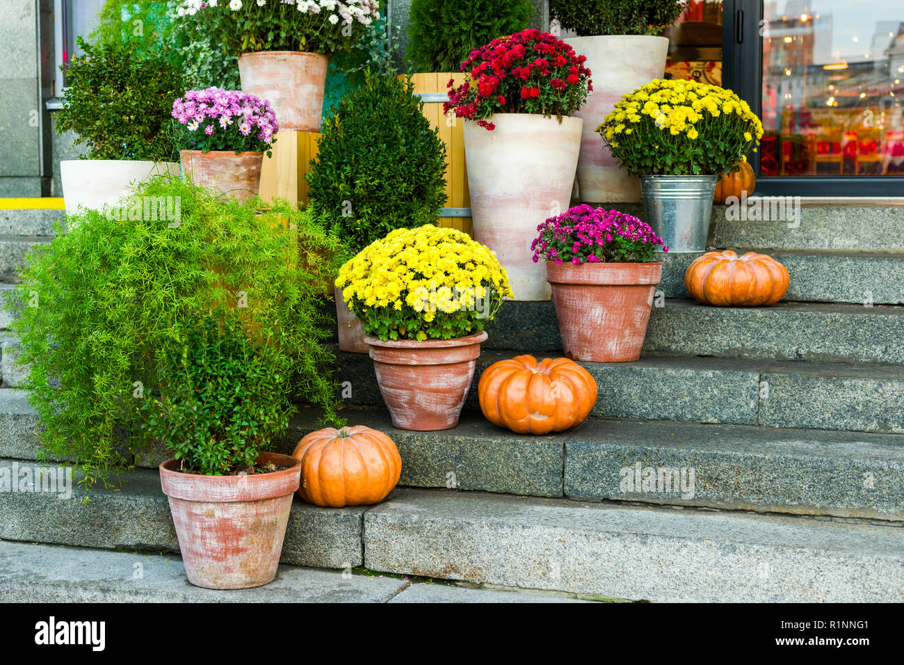 Spring flowers adorning hi-res stock photography and images - Alamy