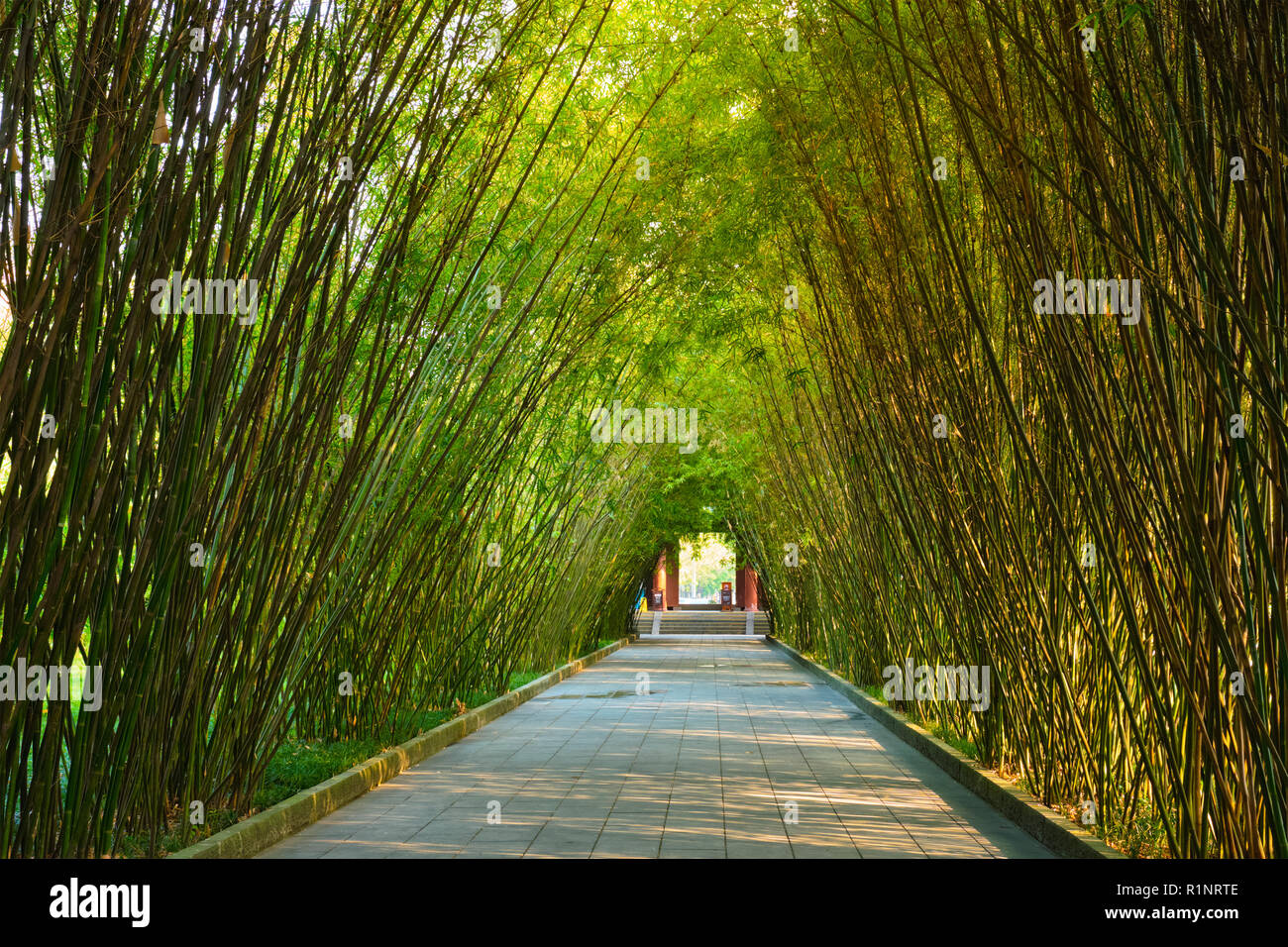 Wangjiang Pavilion in Wangjianglou park. Chengdu, Sichuan, China Stock ...