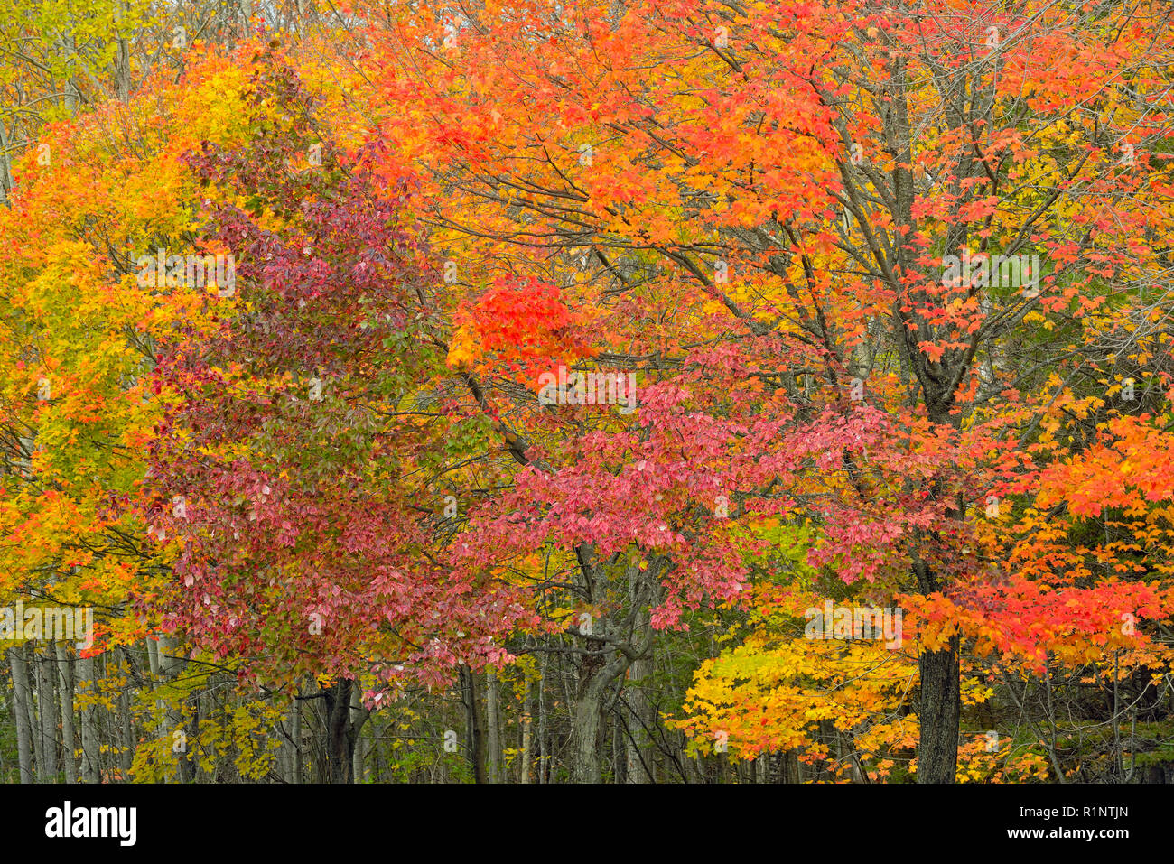 Roadside rest areas hi-res stock photography and images - Alamy