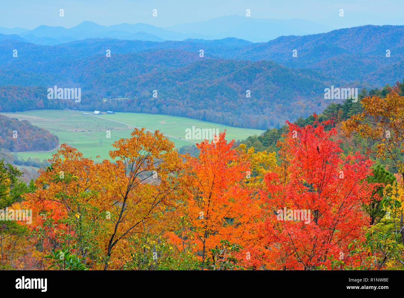 Autumn foliage and distant farm in the valley near the Foothills ...
