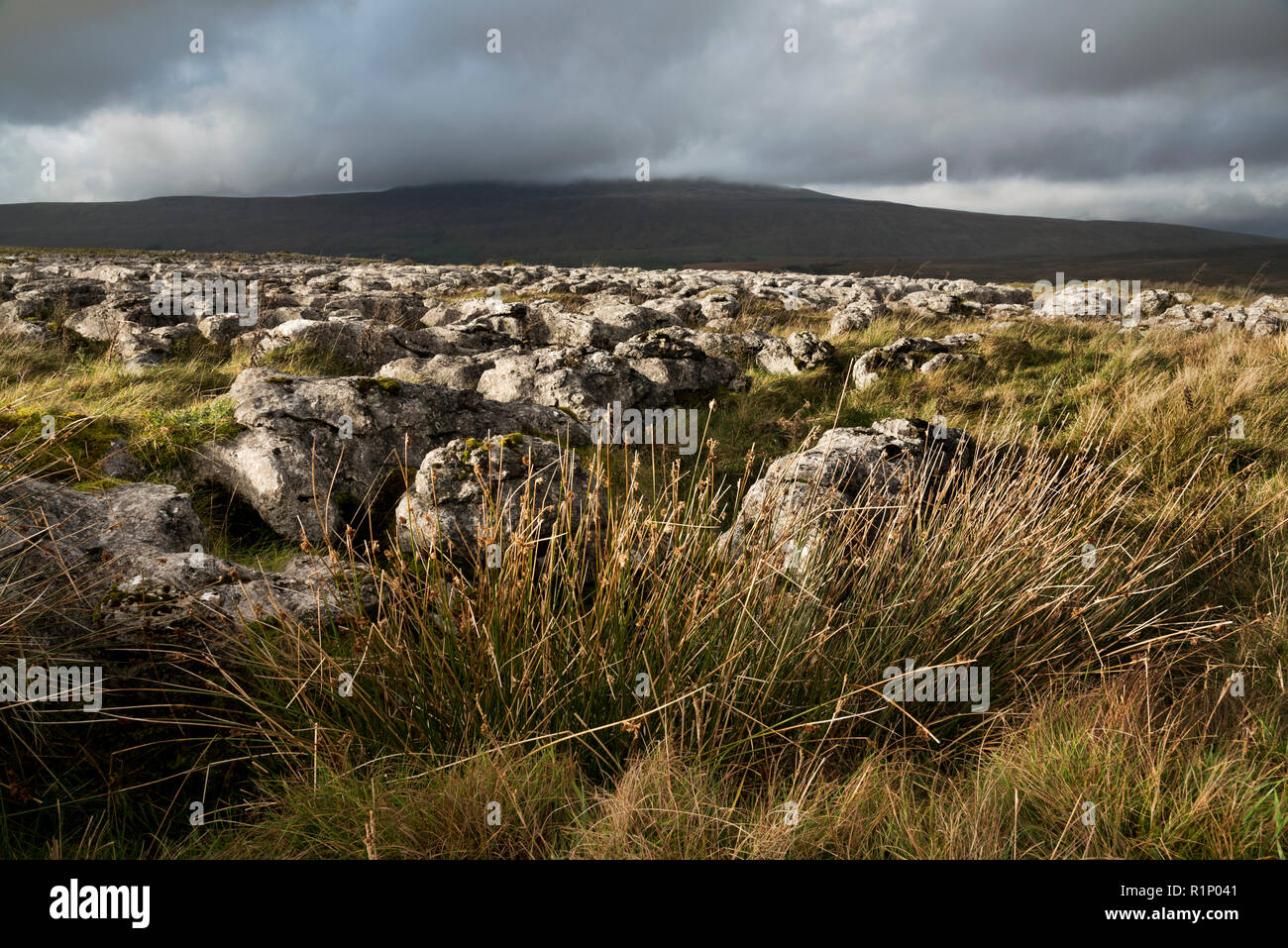 Yorkshire three peaks of whernside hi-res stock photography and images ...