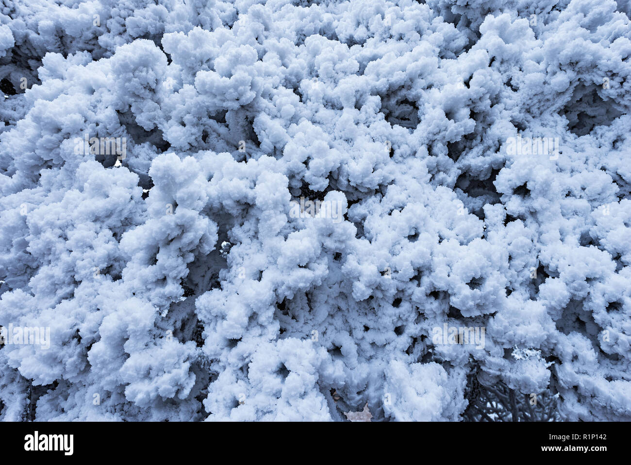 Frozen trees in Huangshan National park. China Stock Photo - Alamy