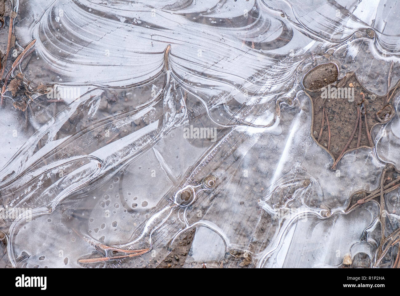 Frozen puddle close-up Stock Photo - Alamy