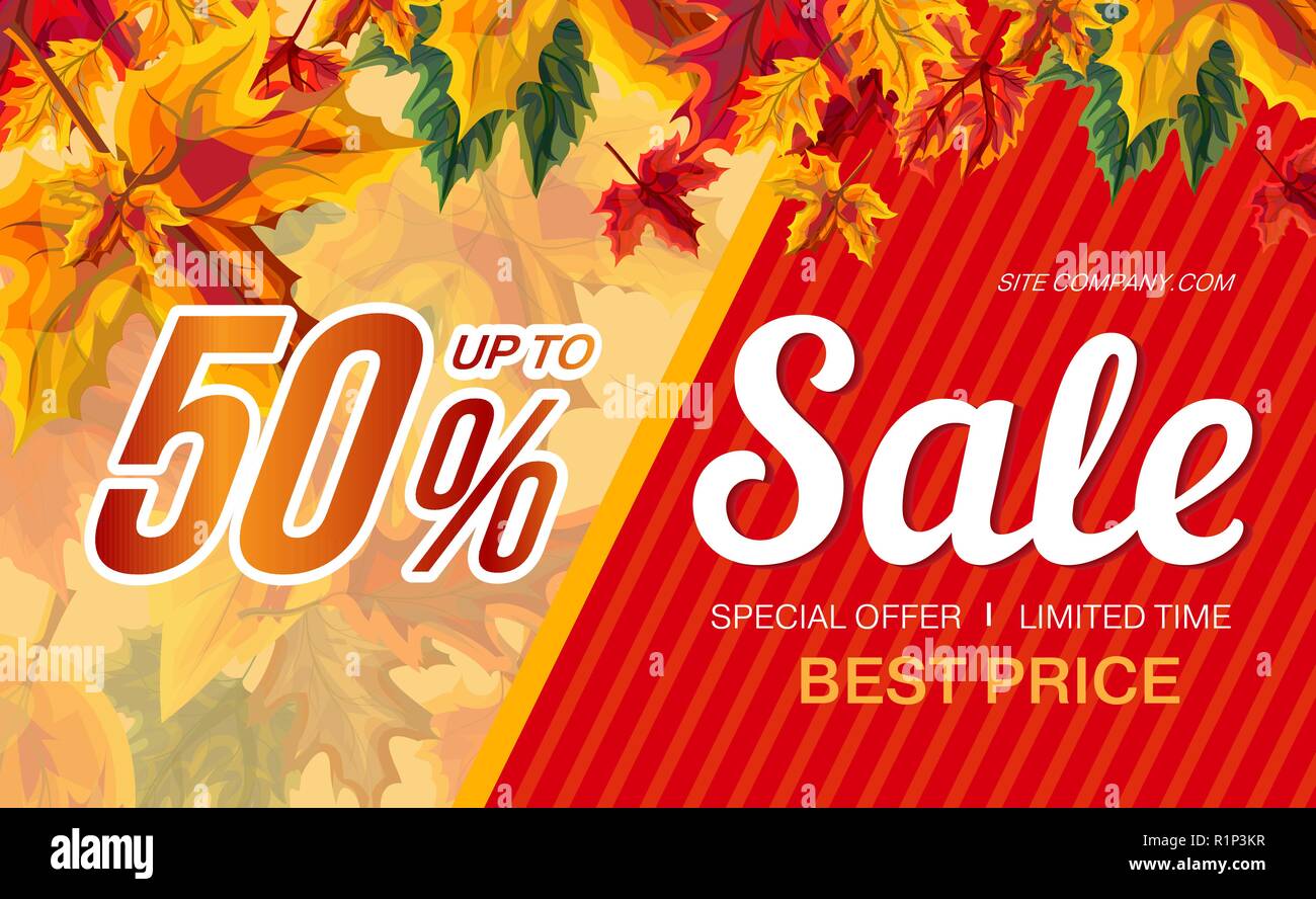 50 percent special offer Stock Vector Images - Alamy