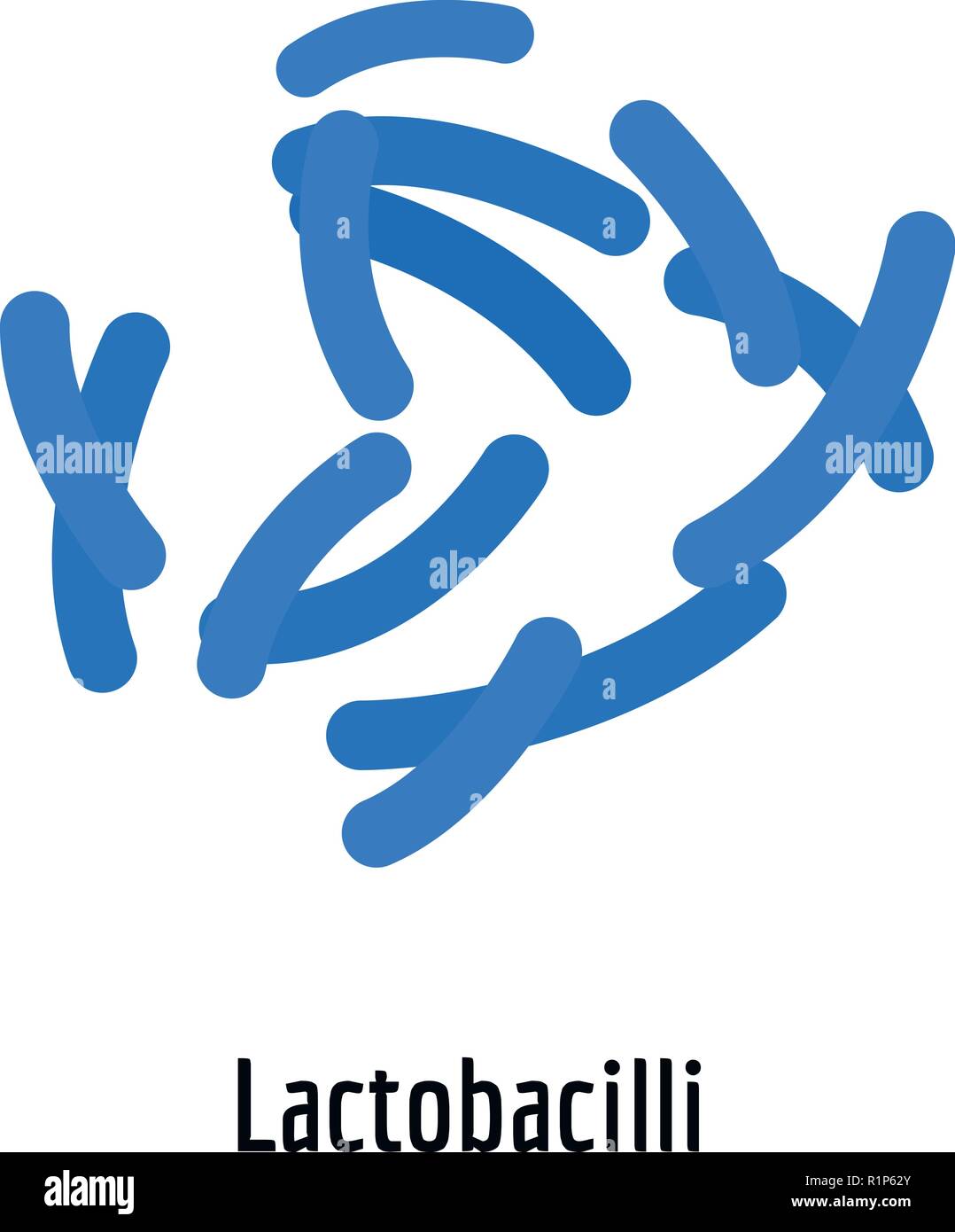 Lactobacilli icon. Cartoon illustration of lactobacilli vector icon for ...