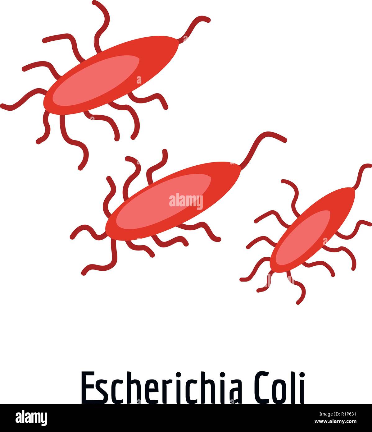 Escherichia coli icon. Cartoon illustration of escherichia coli vector ...