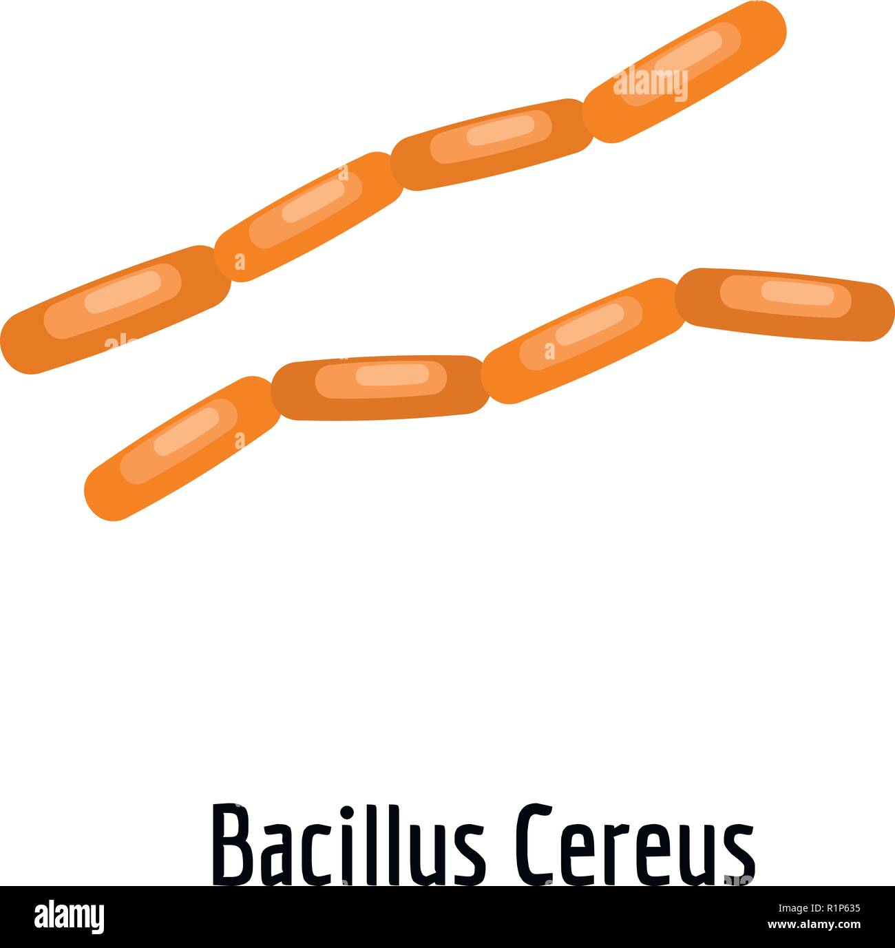 Bacillus cereus icon. Cartoon illustration of bacillus cereus vector ...