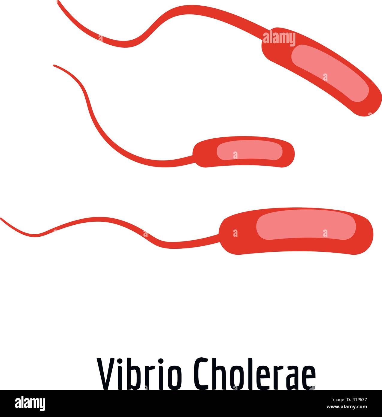 Vibrio Cholerae icon. Cartoon illustration of vibrio cholerae vector ...