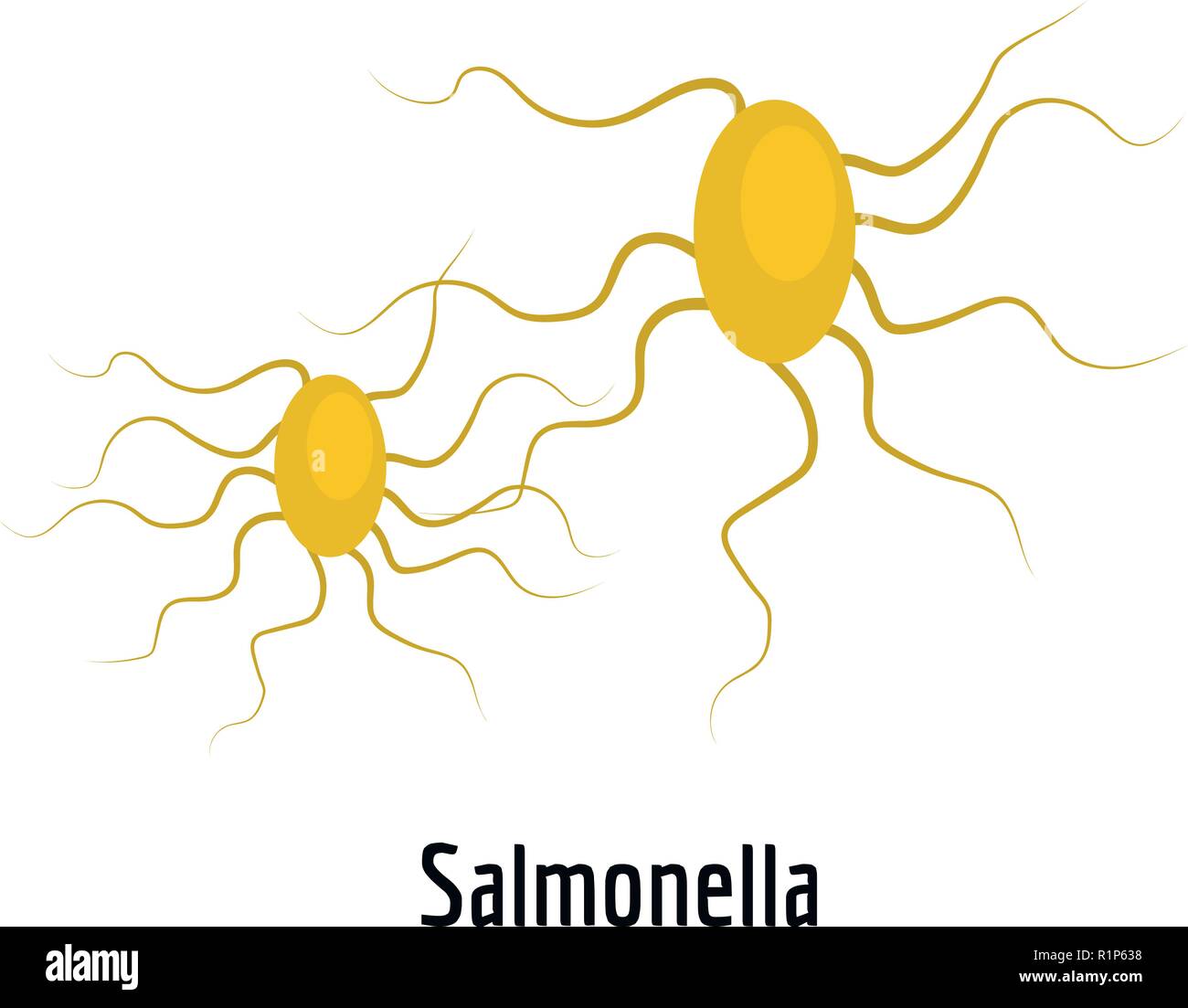 Salmonella icon. Cartoon illustration of salmonella vector icon for web ...