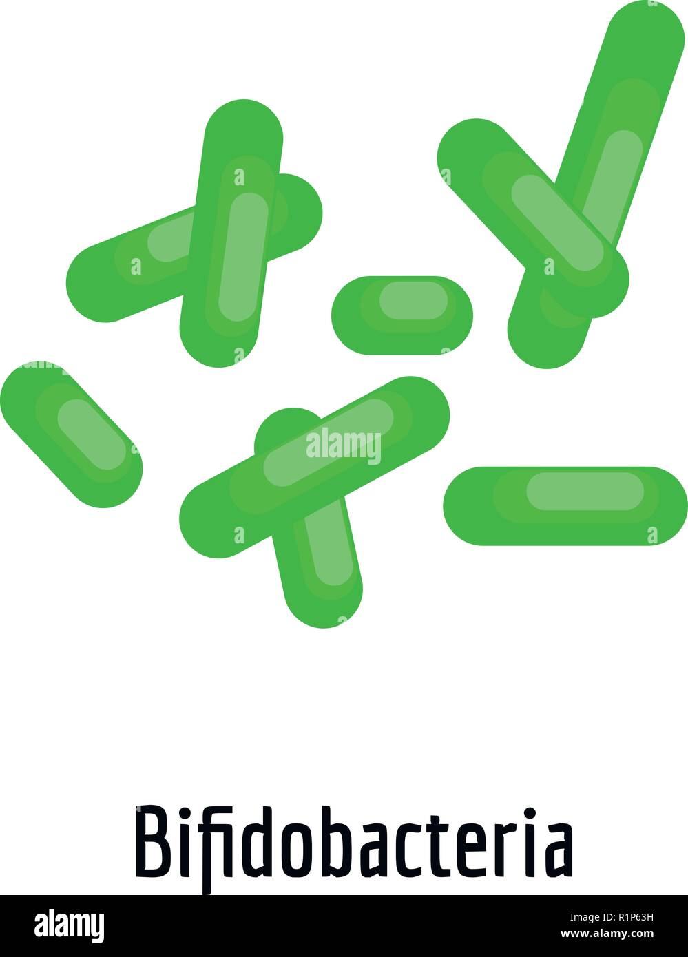 Bifidobacteria icon. Cartoon illustration of bifidobacteria vector icon ...