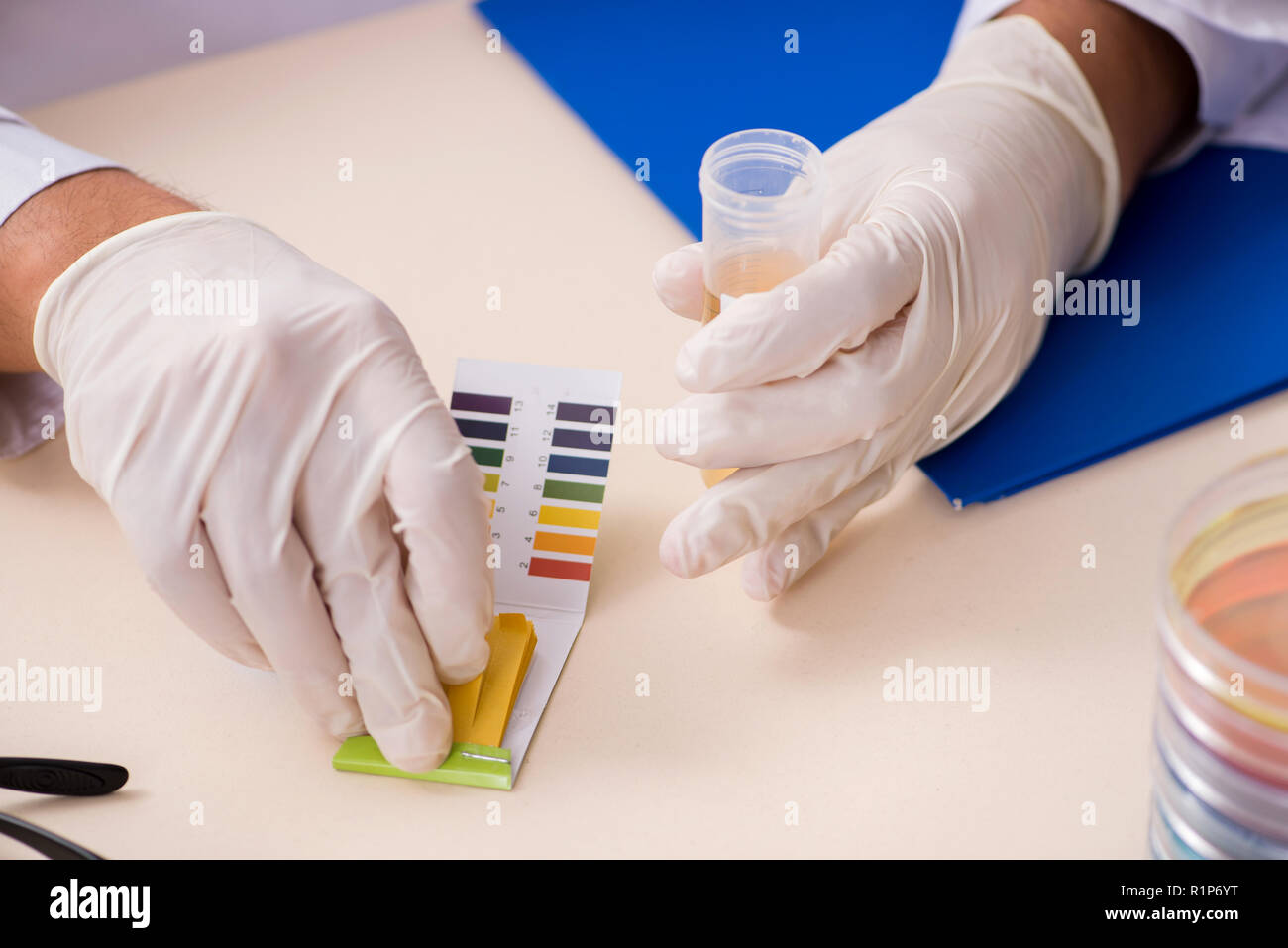 Chemist in the lab checking with ph strips Stock Photo - Alamy