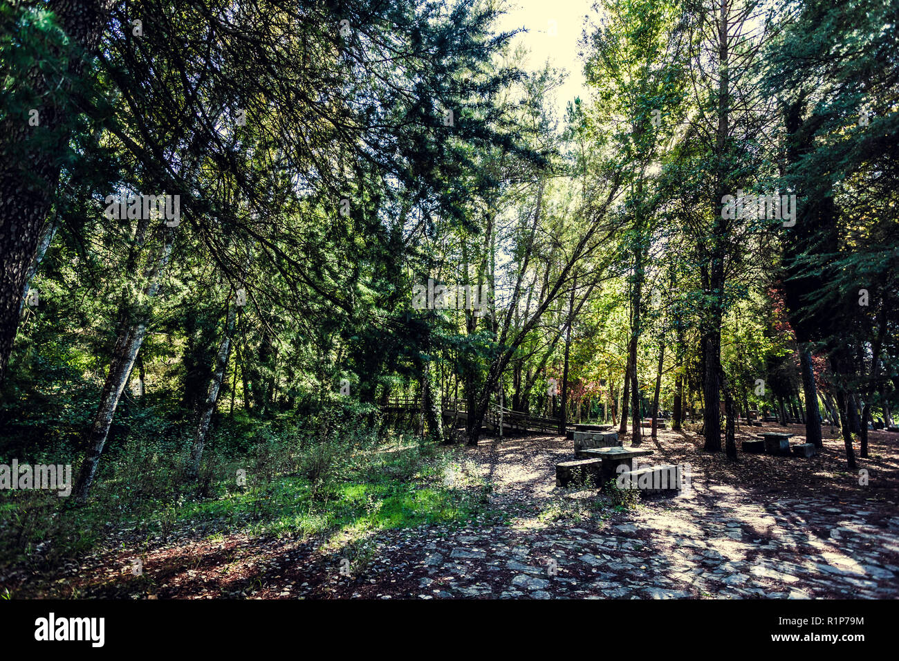 Picnic table with fall foliage hi-res stock photography and images - Alamy