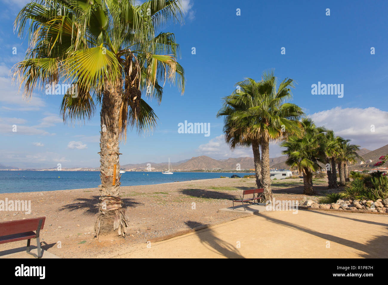 La Azohia Murcia Spain with beach seafront and palm trees between ...