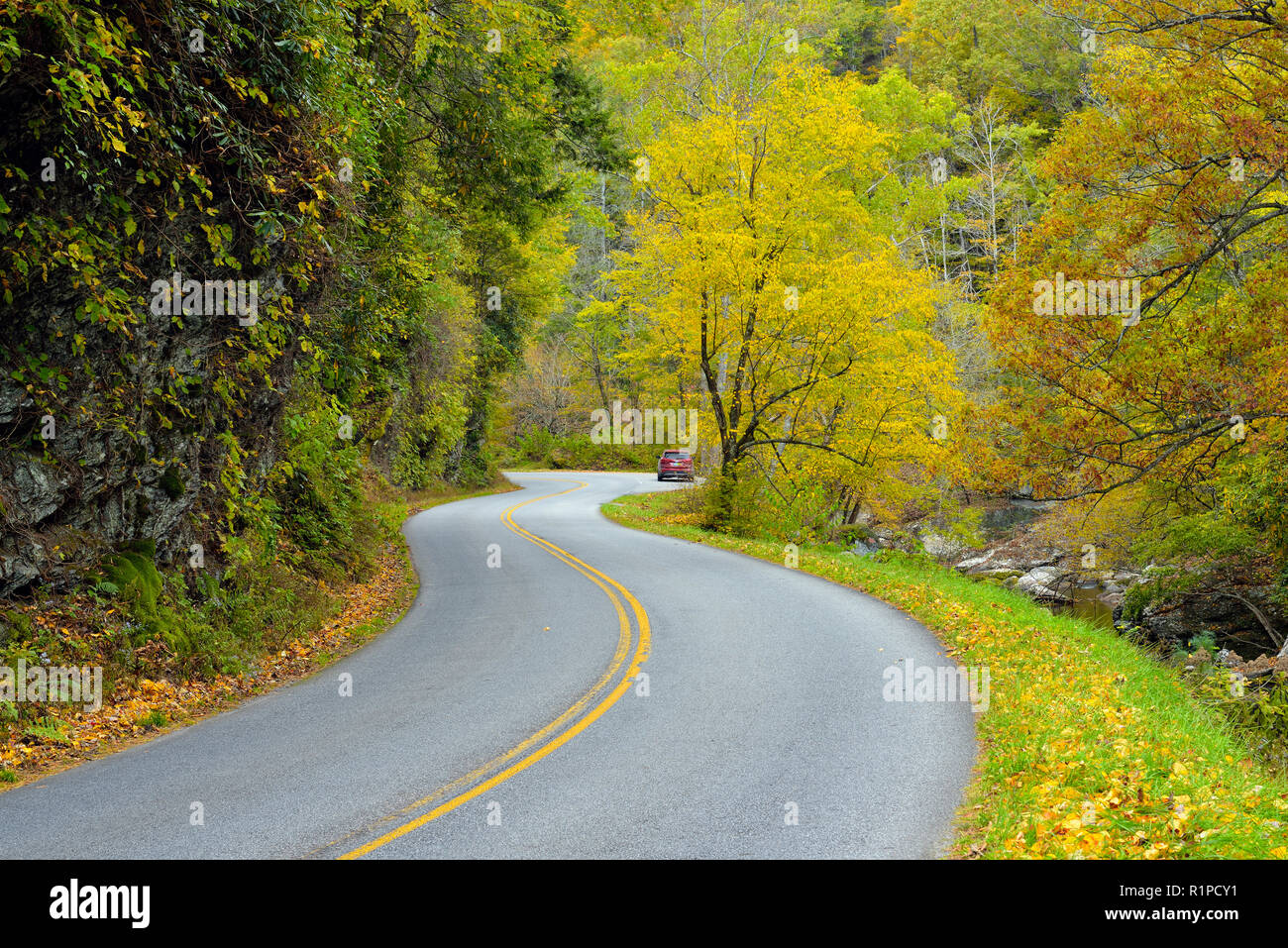 Little River Road in autumn, Great Smoky Mountains National Park ...