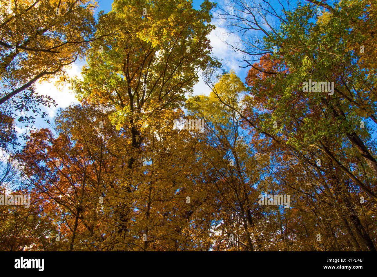 Lewis hollow hi-res stock photography and images - Alamy