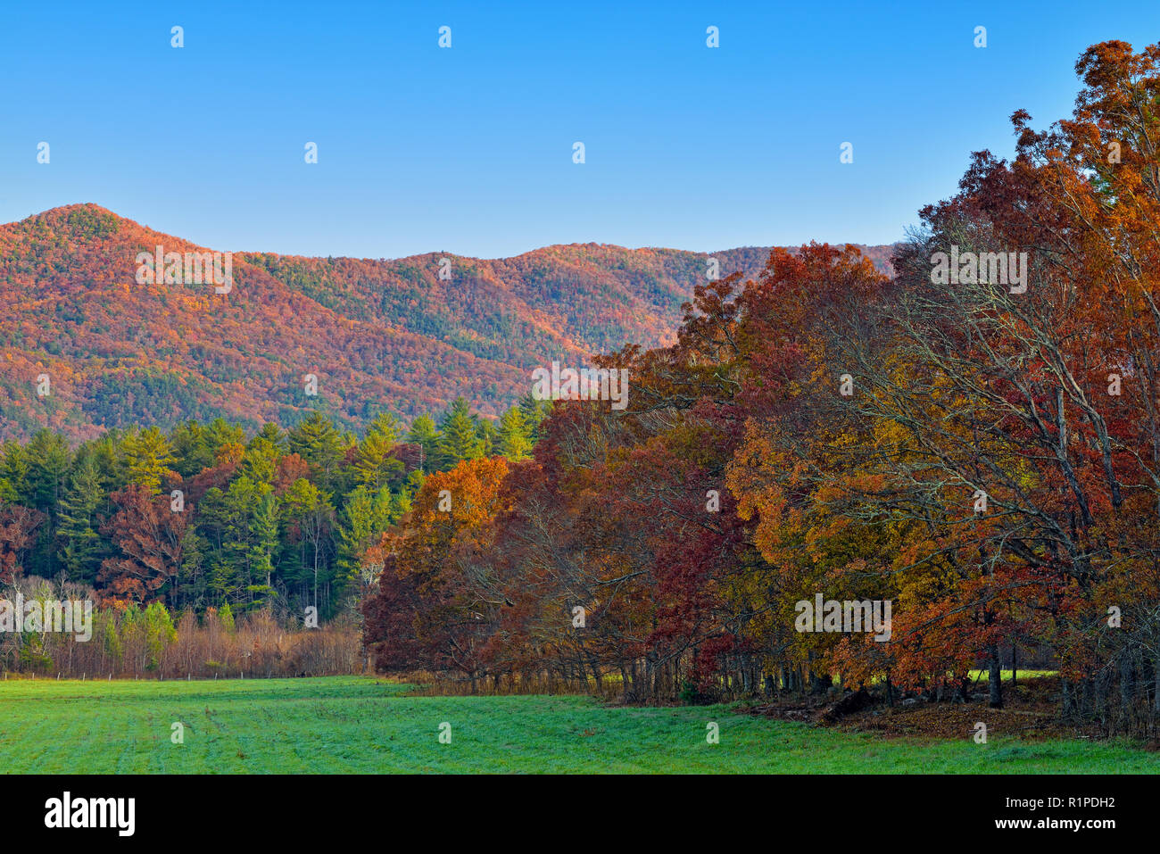 Fall colour in Cades Cove, Great Smoky Mountains National Park ...