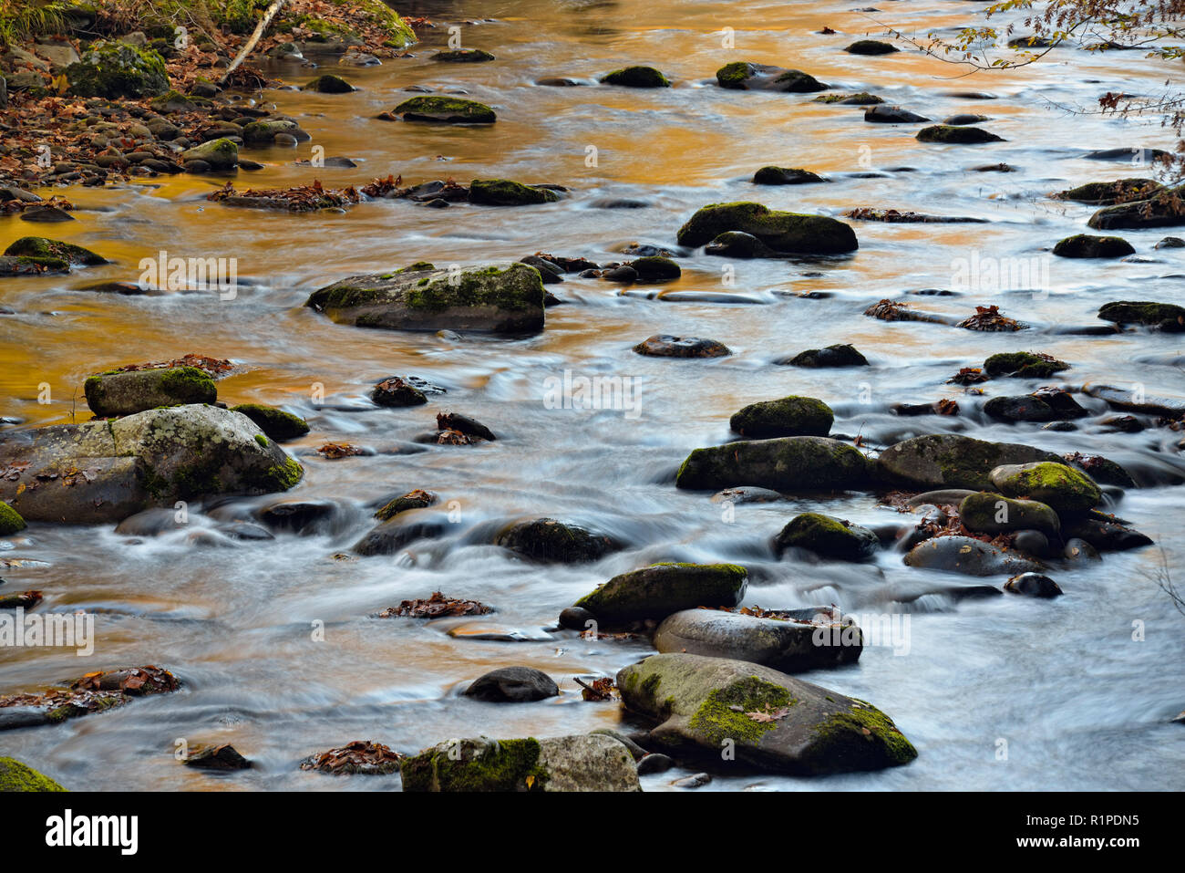 Autumn reflections in the Little River, Great Smoky Mountains National ...