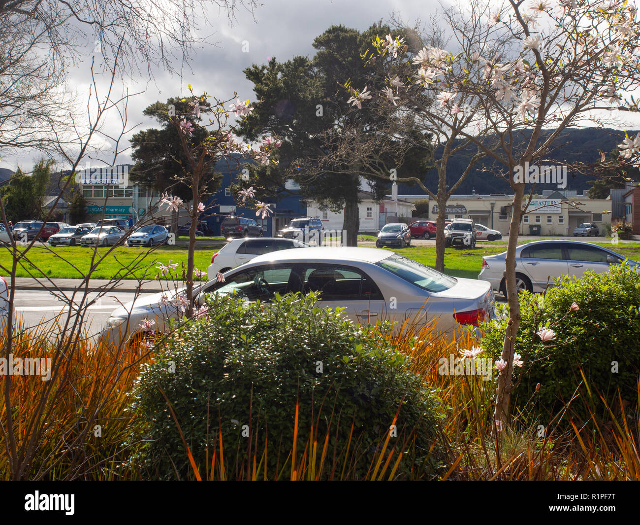 Hutt road hi-res stock photography and images - Alamy
