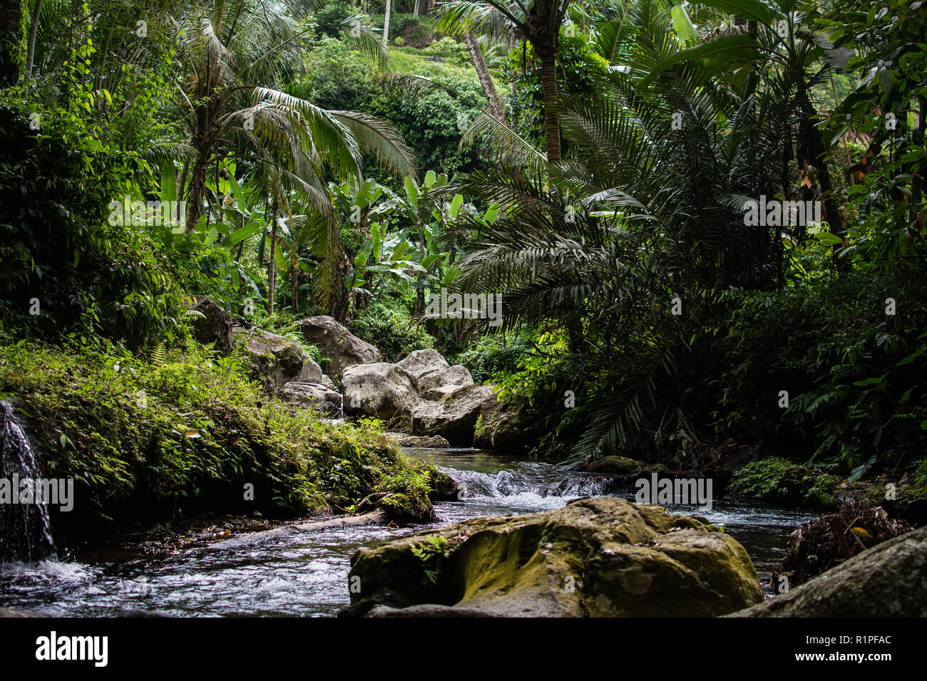 Beautiful waterfall in rainforest bali hi-res stock photography and ...