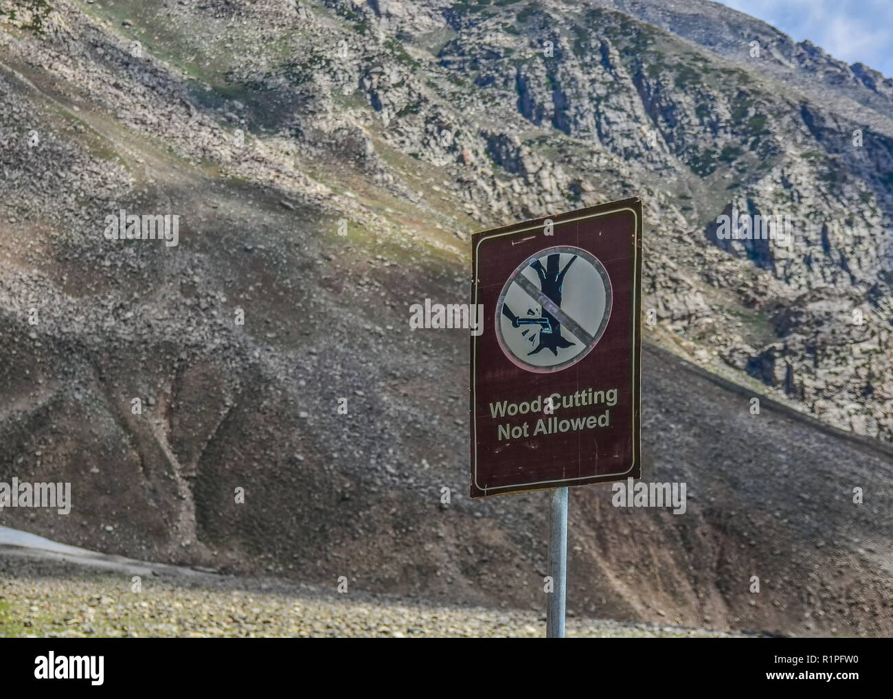 Warning sign against wood cutting Stock Photo - Alamy