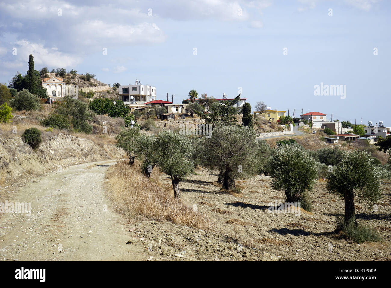 Turkish olive grove hi-res stock photography and images - Alamy